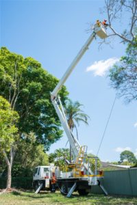 Cherry Picker Tall - Brisbane Tree Equipment Hire